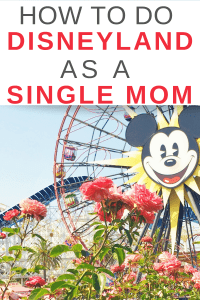 How to do Disneyland as a Single Parent - Learning2Bloom